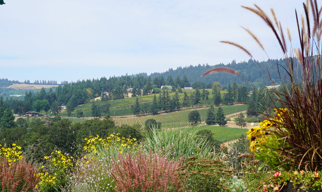 WineryHunt Oregon | Discover The Best of Oregon Wine Country